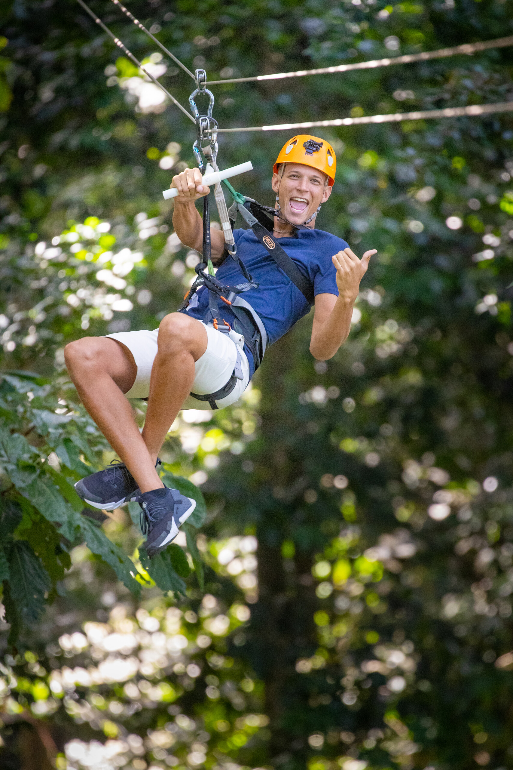 Rooms with ocean view - Tropical Paradise View
